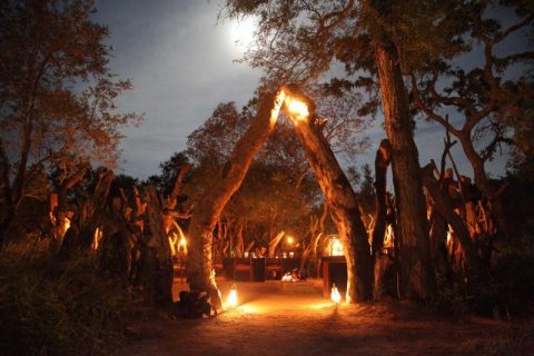 How to Build a Boma, its origins what food to serve